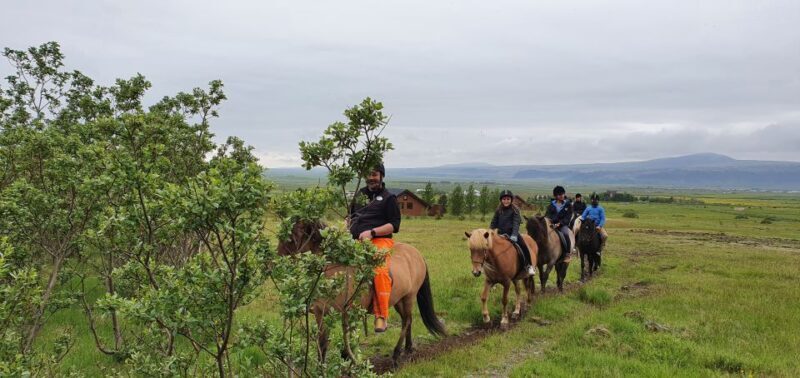 Hveragerdi: Reykjadalur (Hotspring Valley) Horse Riding Tour - An In-Depth Look at the Reykjadalur Horse Riding Experience