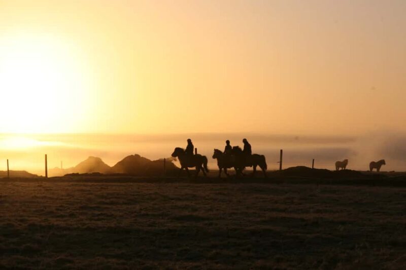 Hveragerdi: The Siggi Horse Riding Tour - Key Points