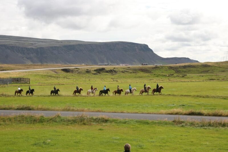 Hveragerdi: The Siggi Horse Riding Tour - Key Points