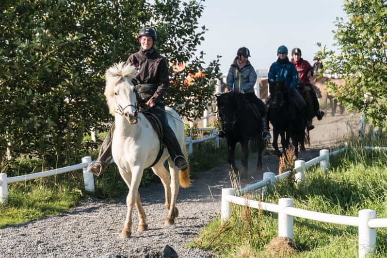 Hveragerdi: The Siggi Horse Riding Tour - Authenticity and Unique Features
