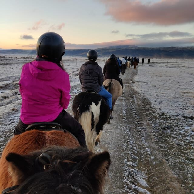 Hveragerdi: The Siggi Horse Riding Tour - Who This Tour Is Best For