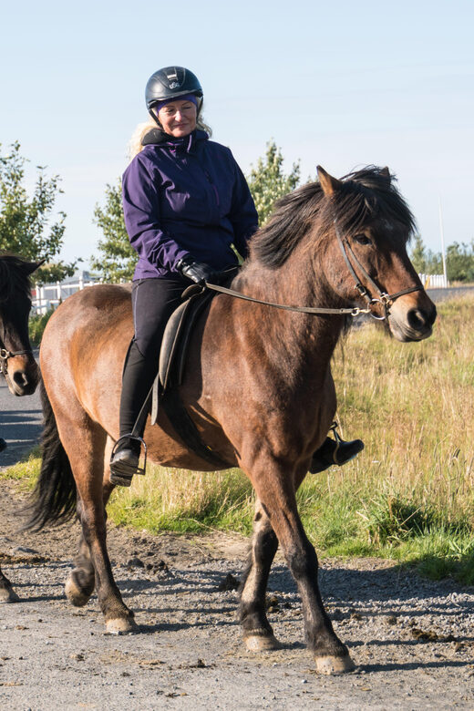 Hveragerdi: The Siggi Horse Riding Tour - The Sum Up