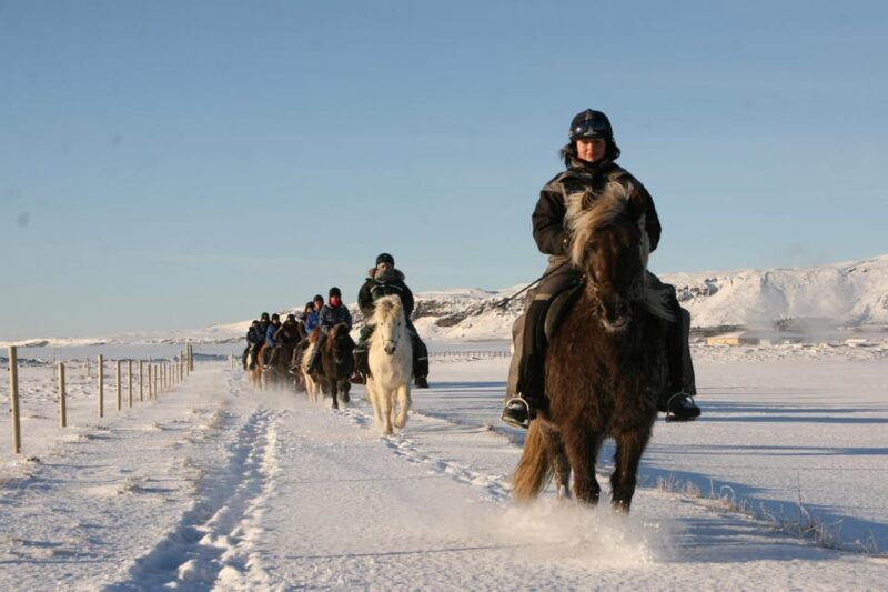 Hveragerdi: The Siggi Horse Riding Tour - FAQ