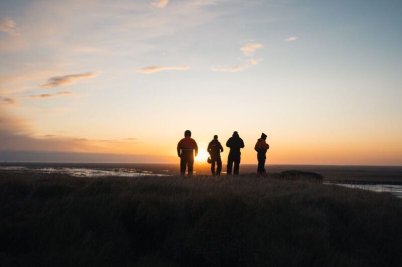 Hvolsvöllur: Iceland Guided Buggy Adventure Tour - Discovering the Icelandic Landscape on a Buggy