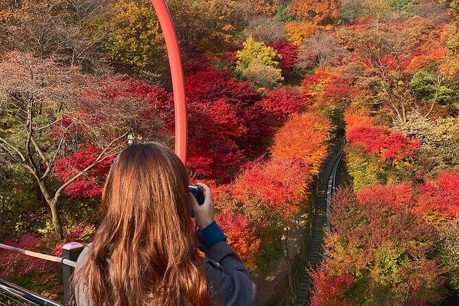 Hwadam Botanic Garden and Namhansanseong and Folk Village Trip - A Deep Dive into the Itinerary
