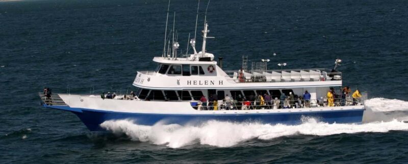 Hyannis: Luau Sunset Cruise in Hyannis Harbor - The Practical Side: Pricing, Duration, and Accessibility