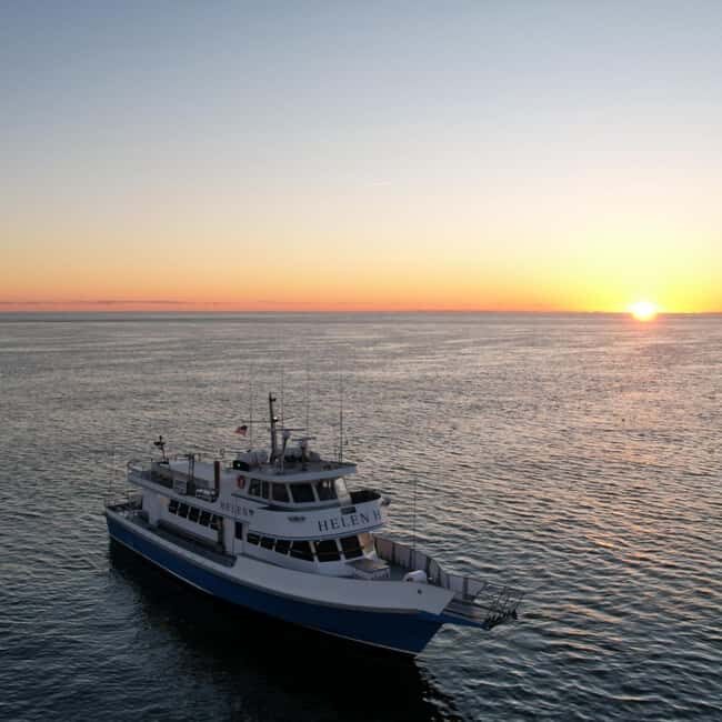 Hyannis: Luau Sunset Cruise in Hyannis Harbor - Who is This Cruise Best For?