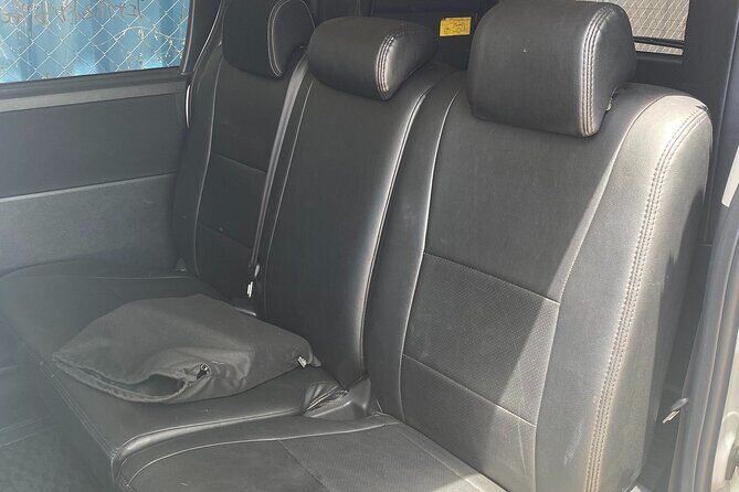 Hyatt Zilara/ Ziva Rose Hall Resort Private Airport Transfer - Authentic Experiences and Considerations