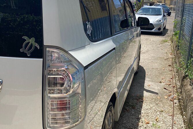 Hyatt Ziva Rose Hall Private Airport Transfer - Visualizing Your Transfer