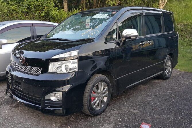 Hyatt Ziva Rose Hall Private Airport Transfer - Final Thoughts