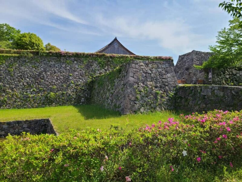 Hyogo: Sasayama Castle & Samurai Residence Guided Tour - Who Should Consider This Tour?