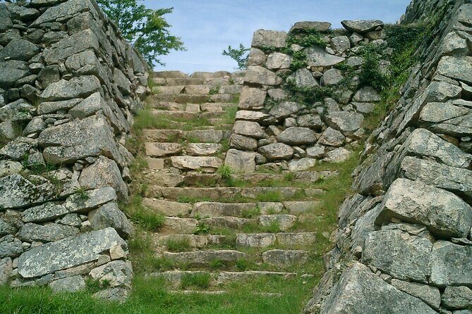 Hyogo: Takeda Castle Castle in the Sky Mountain Hiking Tour - The Experience: From Start to Finish