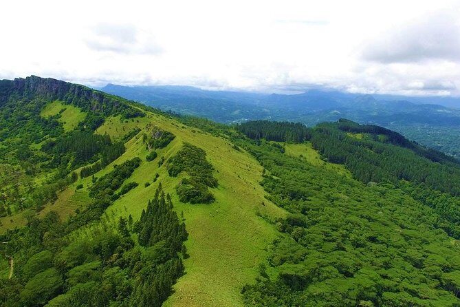 I Day Kandy City Tour - Who Is This Tour Best For?