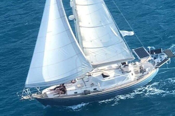 I Like Turtles Private Sailing and Snorkeling from Sapphire - Analyzing the Price and Value