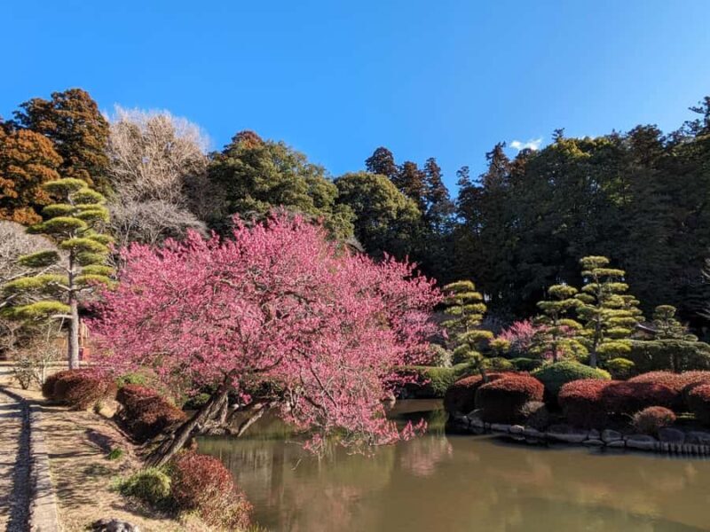 Ibaraki: Kairakuen, One of Japans Three Great Gardens - Final Words