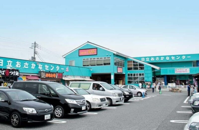 Ibaraki: Seafood Market, Kochia Hills, and Mentaiko Tour - A Detailed Look at the Ibaraki Experience