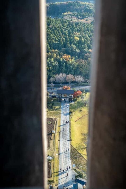 Ibaraki: Ushiku Daibutsu, Worlds Tallest Buddha - Authentic Experience and Review Highlights