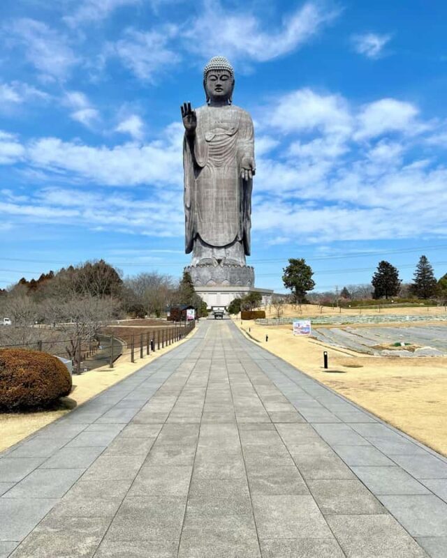 Ibaraki: Ushiku Daibutsu, Worlds Tallest Buddha - The Sum Up: Who Will Appreciate This Tour?