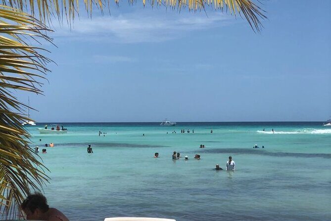 Iberostar Grand Bavaro - Round Trip Shuttle - Punta Cana Airport - What Is This Tour All About?