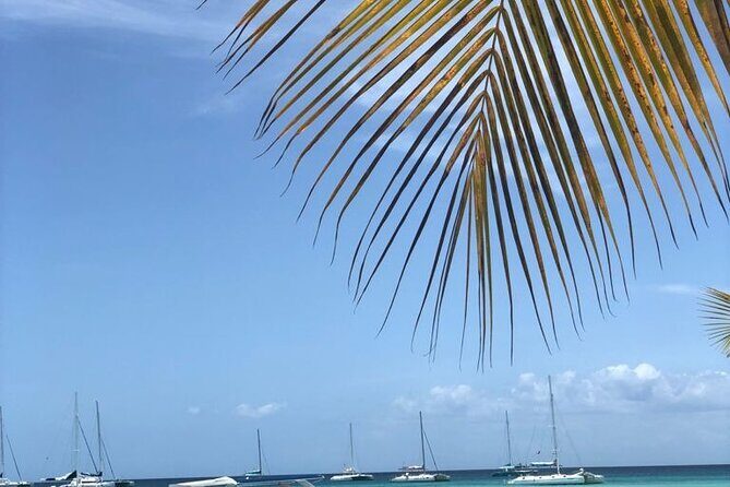 Iberostar Grand Bavaro - Round Trip Shuttle - Punta Cana Airport - Who Should Consider This Service?