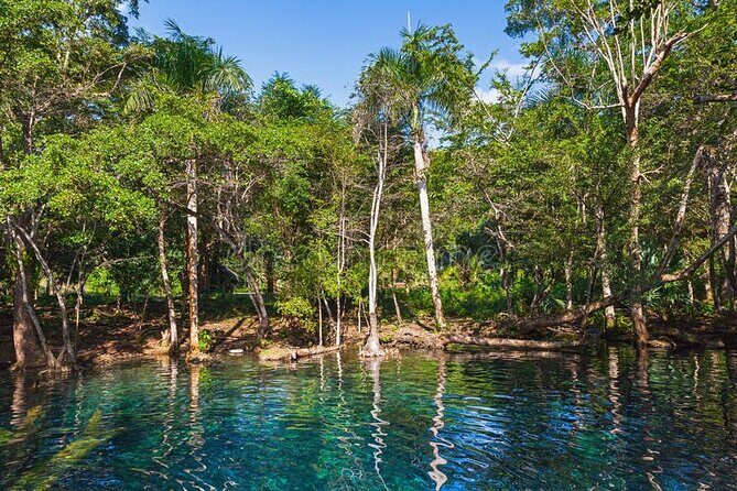 Iberostar Selection Bavaro - Round Trip Shuttle - Punta Cana Airport - What to Expect from the Iberostar Selection Bavaro Round Trip Shuttle