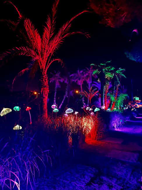 IBIZA: Astro Magic Lights at Bibo Park - Key Points