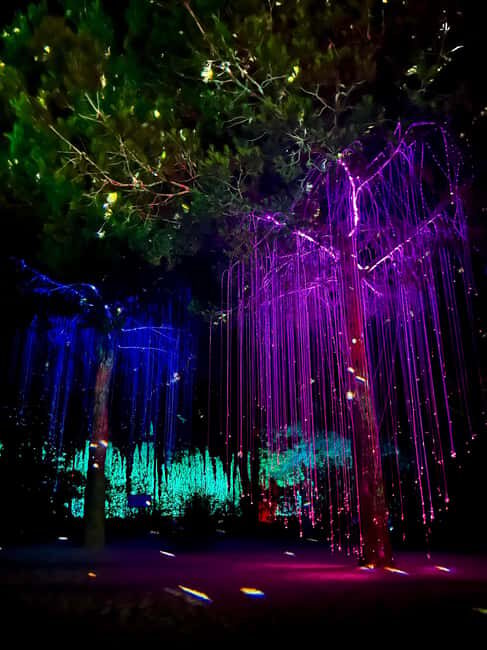 IBIZA: Astro Magic Lights at Bibo Park - What Is the Astro Magic Lights Experience?