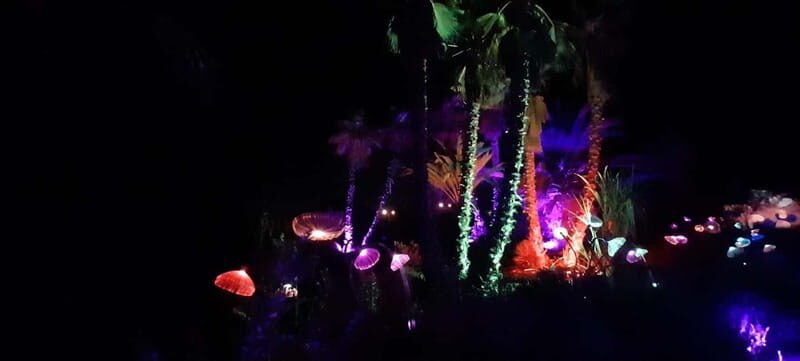 IBIZA: Astro Magic Lights at Bibo Park - A Night Walk Through the Illuminated Garden