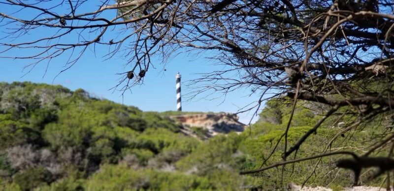 Ibiza: Crystal Coast Walk with Swim Stop - A detailed look at the Ibiza Crystal Coast Walk