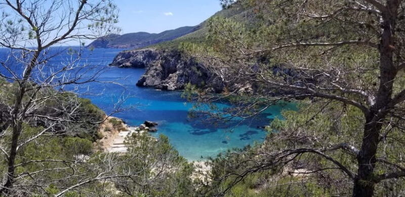 Ibiza: Crystal Coast Walk with Swim Stop - Timing, Group Size, and Practical Tips