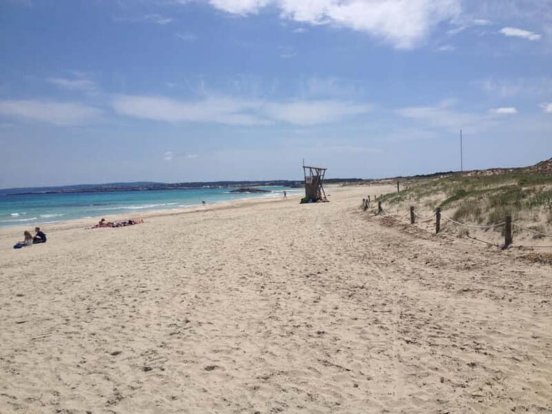 IBIZA day trip to Formentera by bicycle - Transportation and Timing: Why It Matters