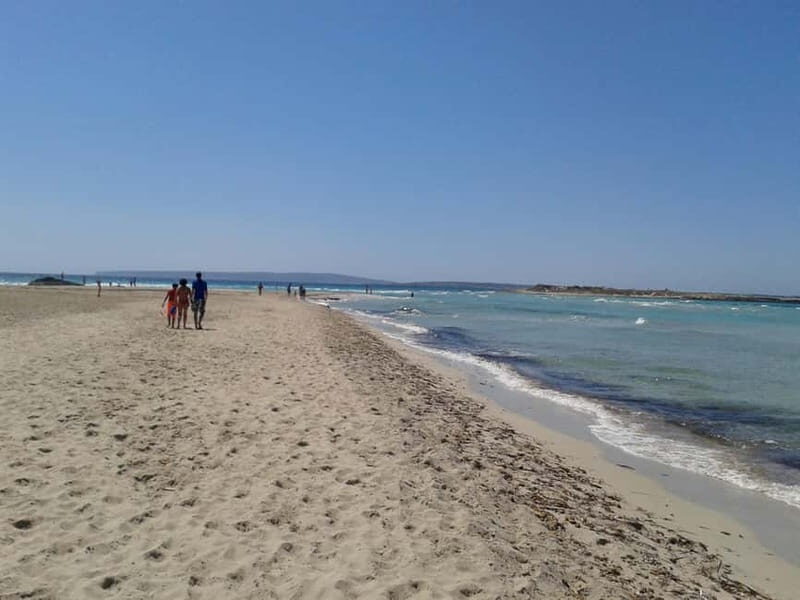 IBIZA day trip to Formentera by bicycle - Final Thoughts