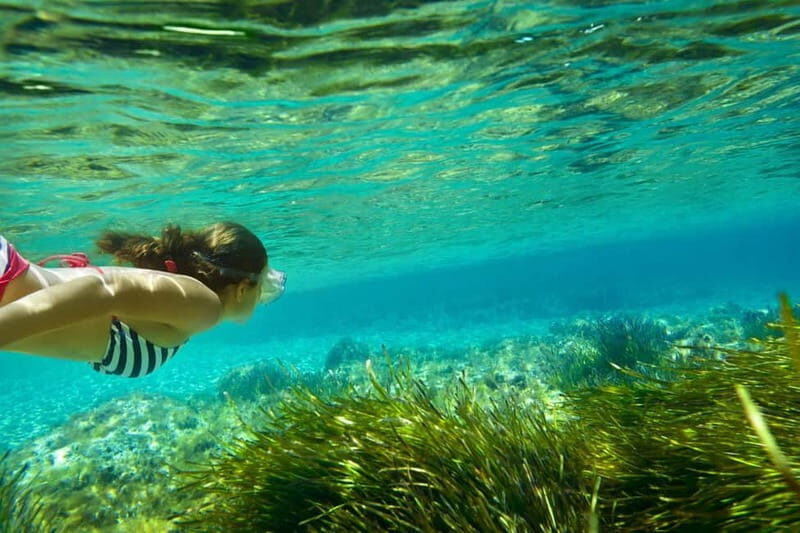 Ibiza: Formentera Secret Beaches Half-Day VIP Cruise - A Deep Dive into the Experience
