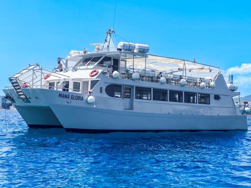 Ibiza: Formentera Trip w/ Paella, BBQ, Open Bar, Sports & DJ - Final Thoughts
