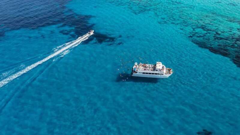 Ibiza: Formentera Trip with Paddle, Snorkel and Lunch - Key Points
