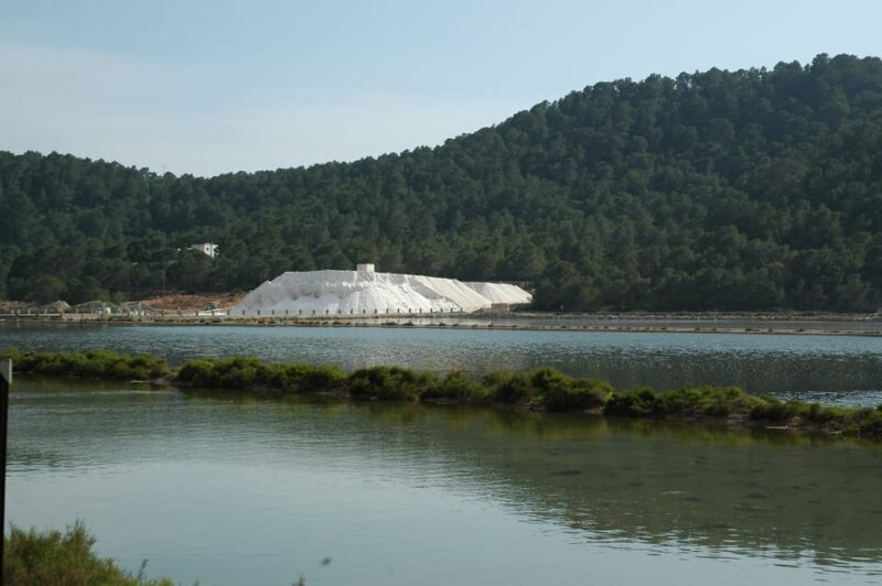 Ibiza: Full-Day Excursion and Visit to a Hippy Market - Key Points