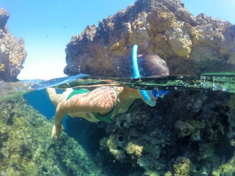 Ibiza: Full Day paddle Boat Tour with Course & BBQ included. - The Practical Side: Price, Duration, and Group Size