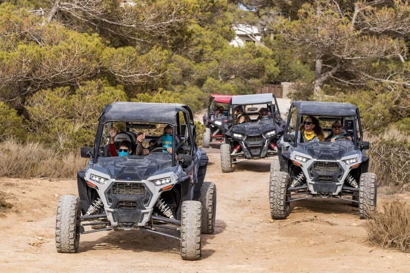 Ibiza: Guided Buggy Tour with Beach Stops - Safety, Comfort, and Practical Details