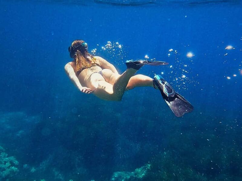 Ibiza: Guided Snorkeling Trip - Key Points