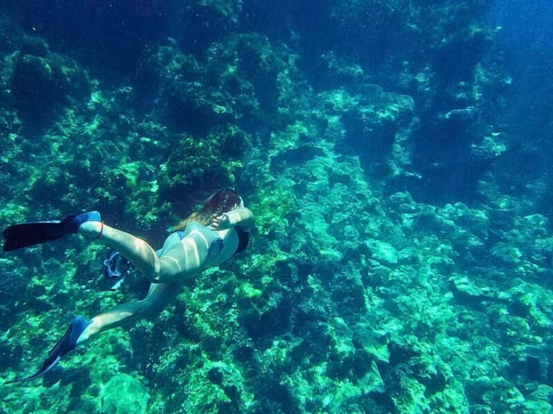 Ibiza: Guided Snorkeling Trip - An Overview of the Tour Experience