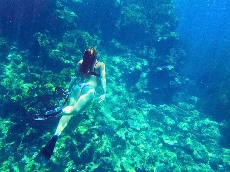 Ibiza: Guided Snorkeling Trip - FAQ