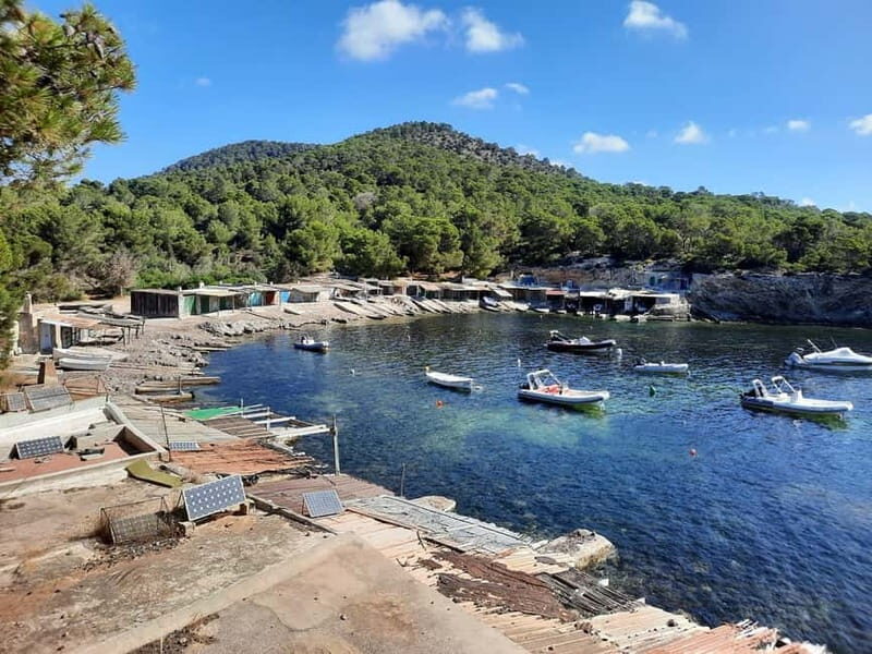 Ibiza Island Tour: Es Vedra, Salt Flats & Hippy Market - Key Points