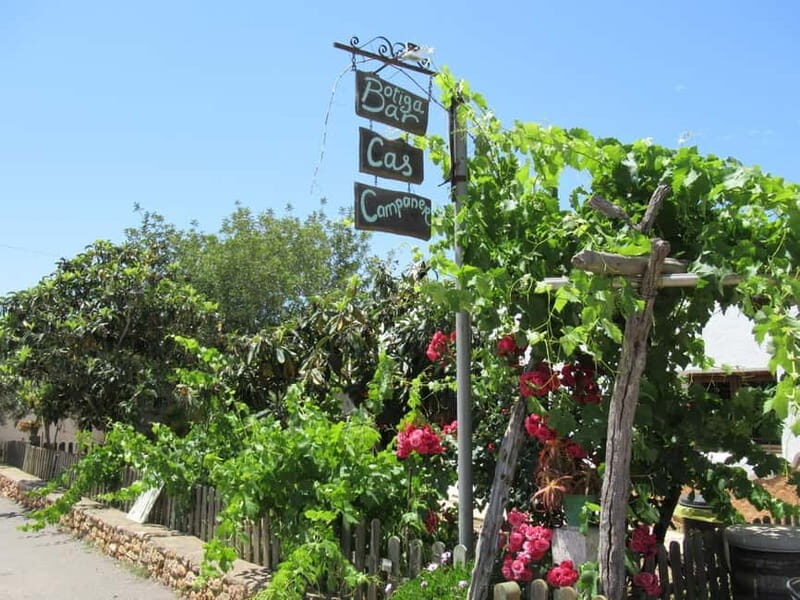 Ibiza Island Tour: Es Vedra, Salt Flats & Hippy Market - Pricing & Value