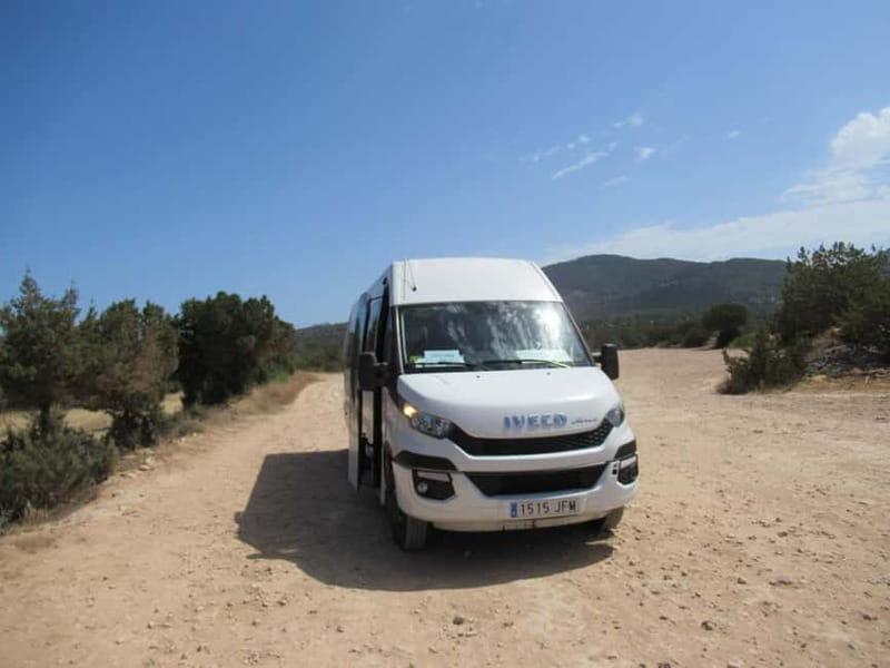 Ibiza Island Tour: Es Vedra, Salt Flats & Hippy Market - Final Thoughts