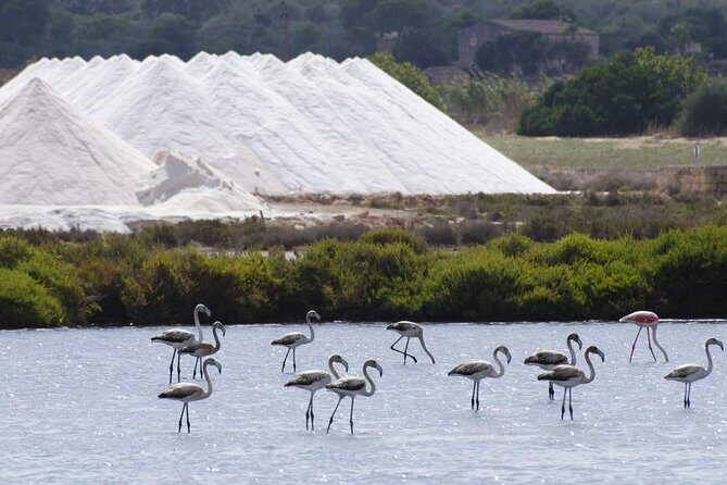 Ibiza Island Tour: Punta Arabi Local Market - Exploring Ibiza’s Natural and Cultural Gems