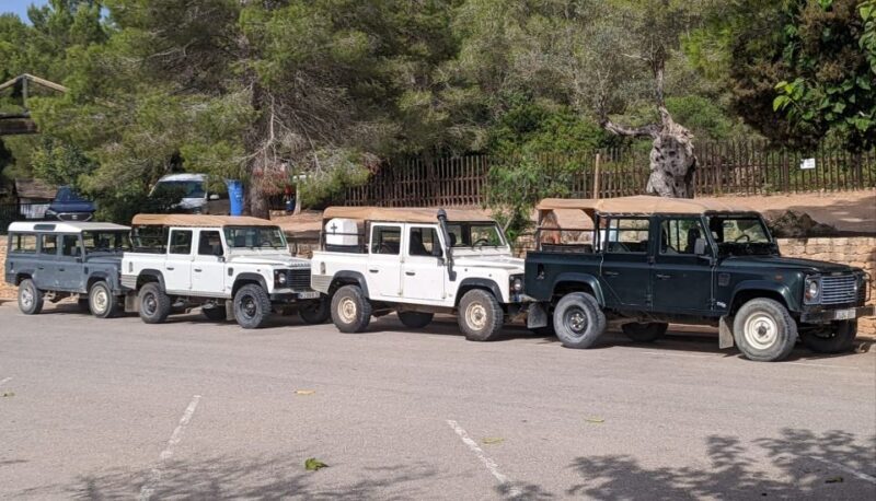 Ibiza: Jeep Safari Island Exploration - The Practicalities: What’s Included and What to Bring