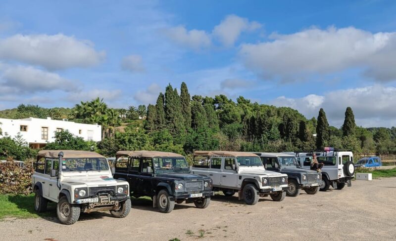 Ibiza: Jeep Safari Island Exploration - What the Reviews Say