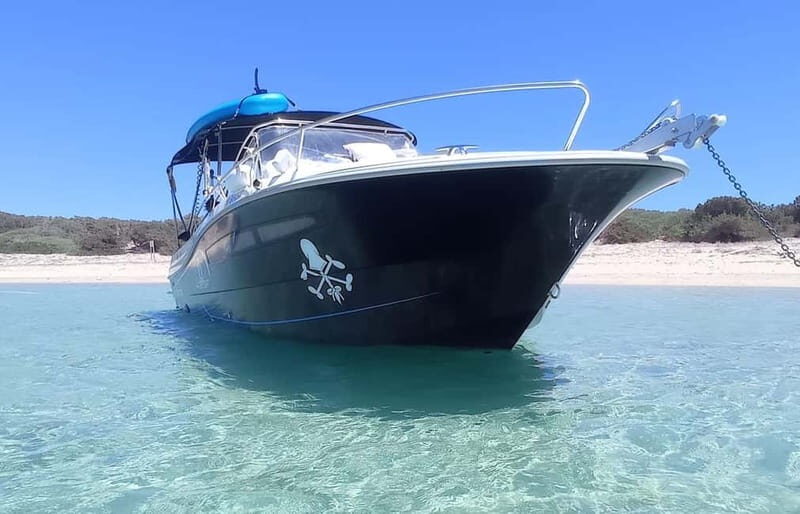 Ibiza: "north of the island" tour from the sea in a private boat - Exploring the North of Ibiza from the Water