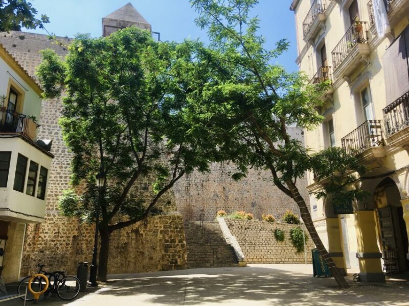 Ibiza: Old Town Guided Walking Tour - What’s Included & Practical Info