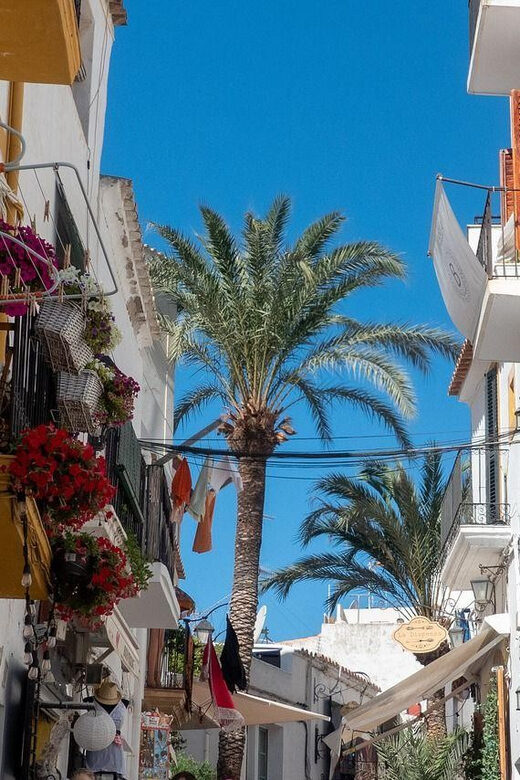 Ibiza old town Private Guided Walking Tour - Summary of the Experience
